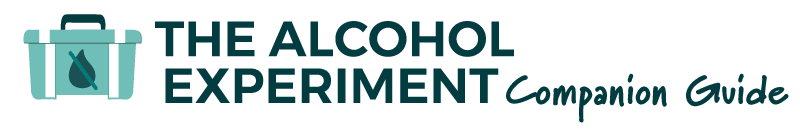 The Alcohol Experiment Companion Kit